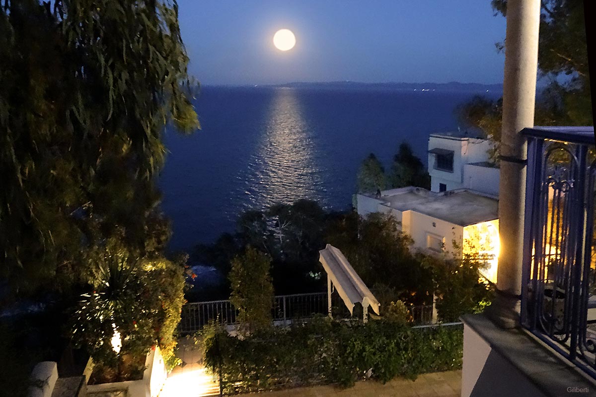 Photo Gallery La Villa Bleue Sidi Bou Said - 5 star hotel - Tunisia